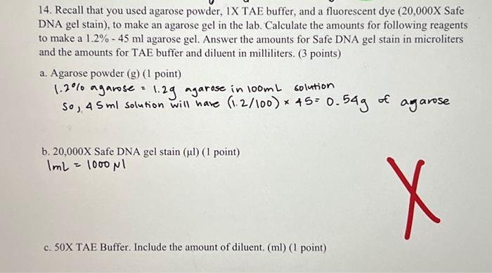 Solved 14. Recall that you used agarose powder, 1X TAE | Chegg.com