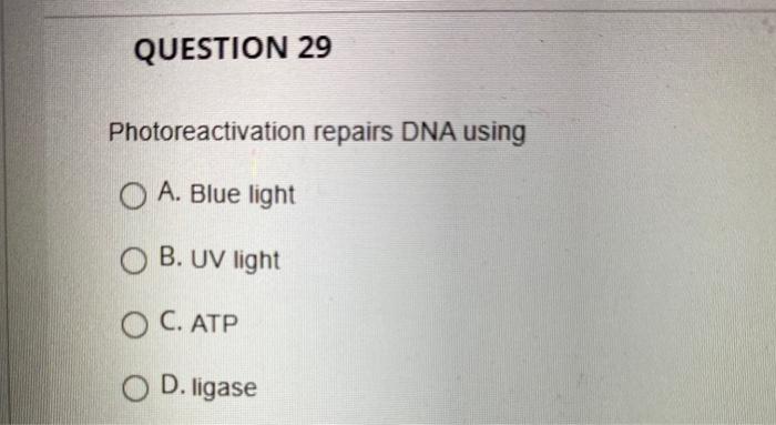 Solved QUESTION 29 Photoreactivation repairs DNA using O A. | Chegg.com