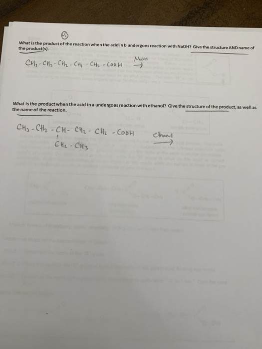Solved What is the product of the reaction when the acidin b | Chegg.com