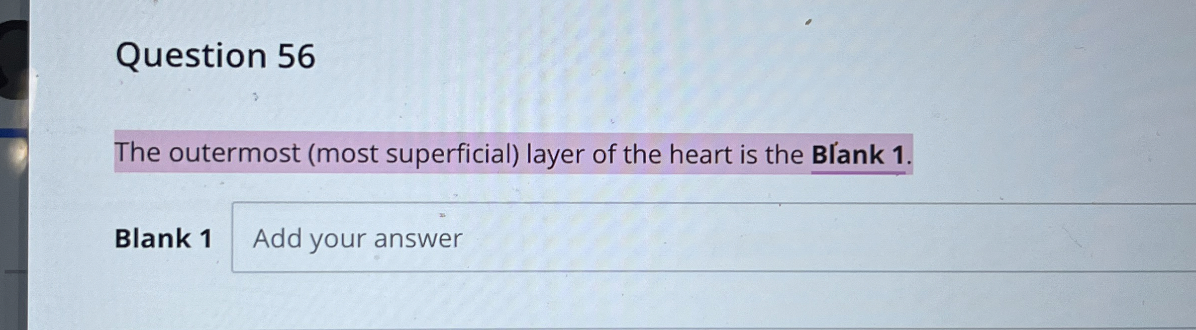 Solved Question 56The outermost (most superficial) ﻿layer of | Chegg.com