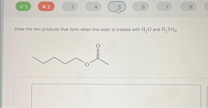 Draw the two products that form when this ester is | Chegg.com