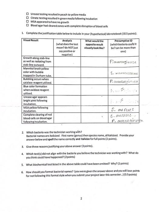 Solved You are working in a microbiology lab when your | Chegg.com