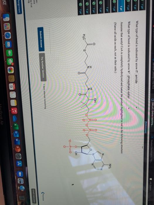 Solved IRAGE Acety CoA has the following structure: NH2 OH | Chegg.com Solved IRAGE Acety CoA has the following structure: NH2 OH | Chegg.com