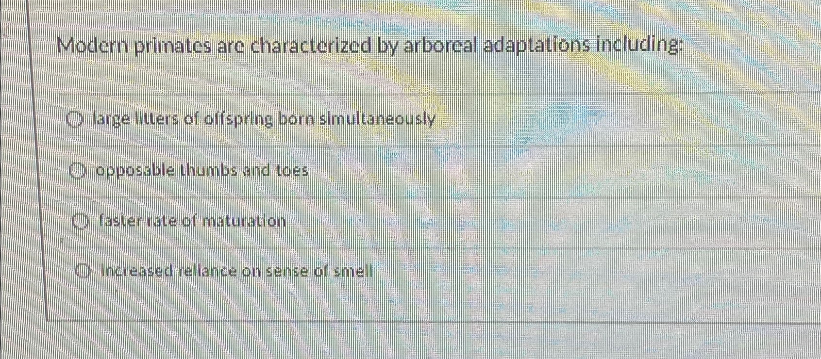 Modern primates are characterized by arboreal | Chegg.com