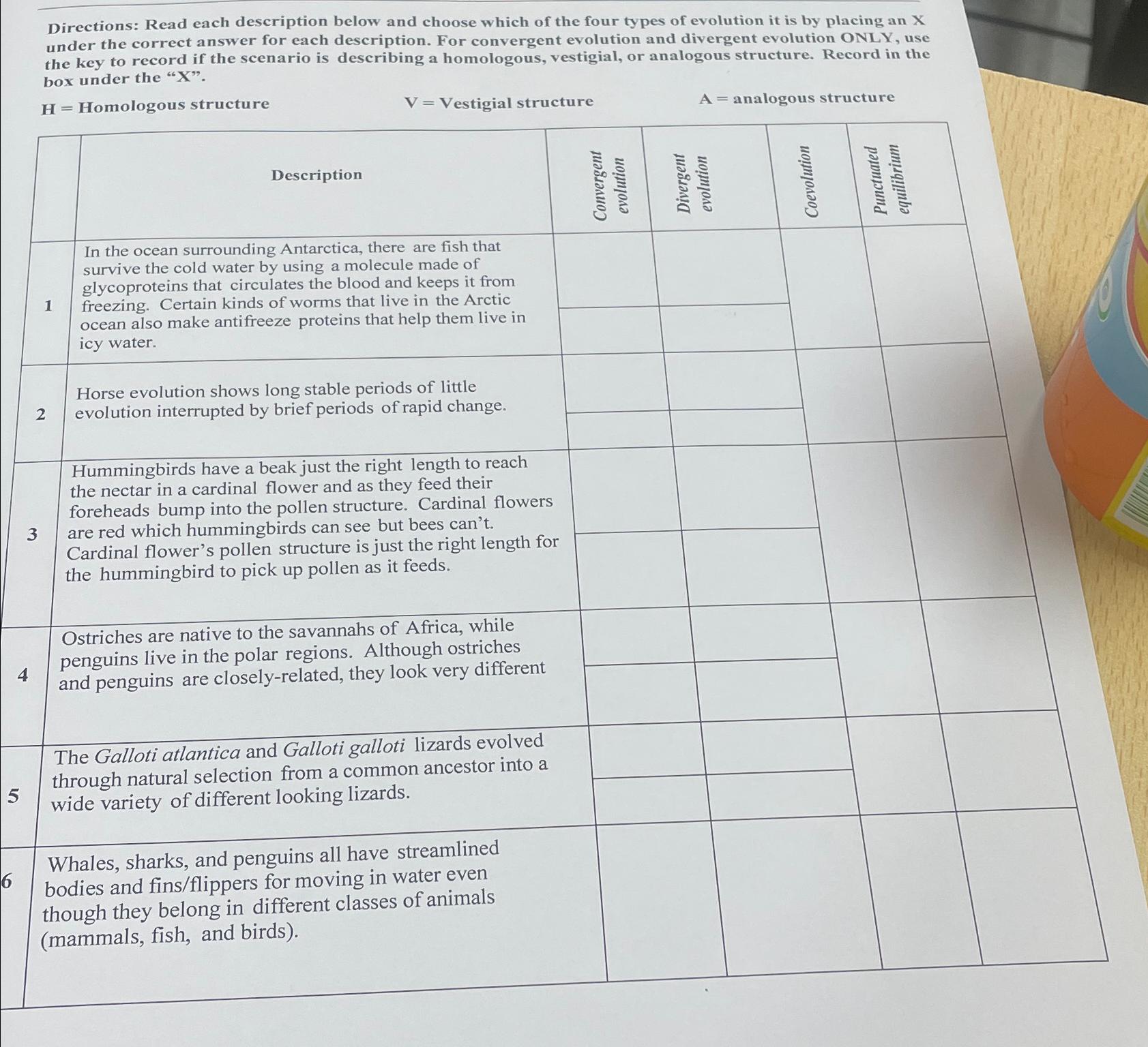 Solved Directions: Read each description below and choose | Chegg.com