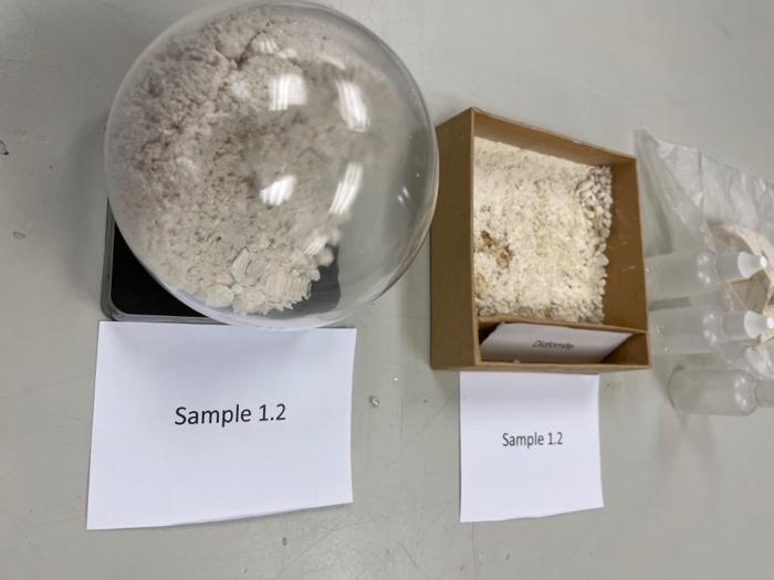 Solved 1.2 This sample 1.2 is a biogenic sediment - ooze | Chegg.com