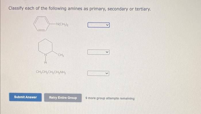 Solved Classify each of the following amines as (1) primary, | Chegg.com
