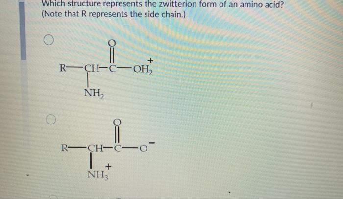 Solved Which structure represents the zwitterion form of an | Chegg.com