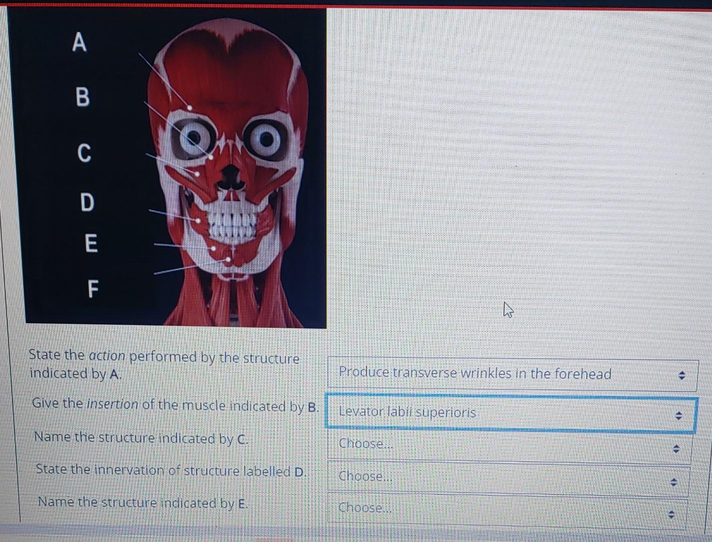Solved פ ס ס ס ח ד V State the action performed by the | Chegg.com