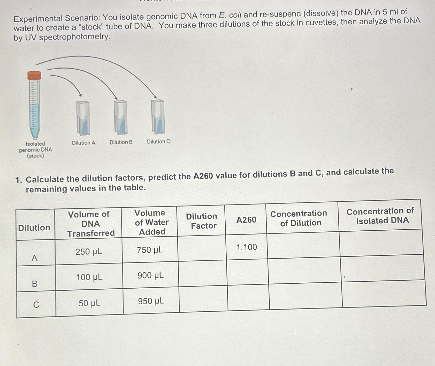 Solved Experimental Scenario: You isolate genomic DNA from | Chegg.com