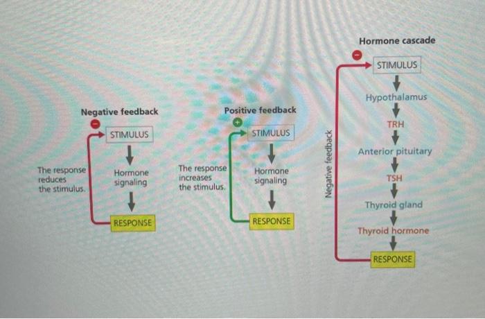 Solved Use these diagrams to draw out a path of three | Chegg.com