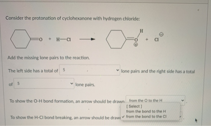 Solved Consider the protonation of cyclohexanone with | Chegg.com