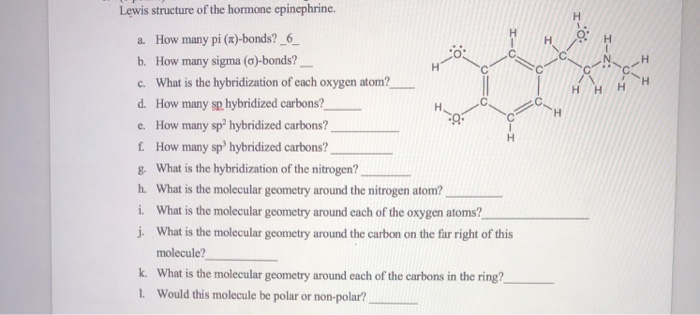 Solved Lewis structure of the hormone epinephrine. O H a. | Chegg.com