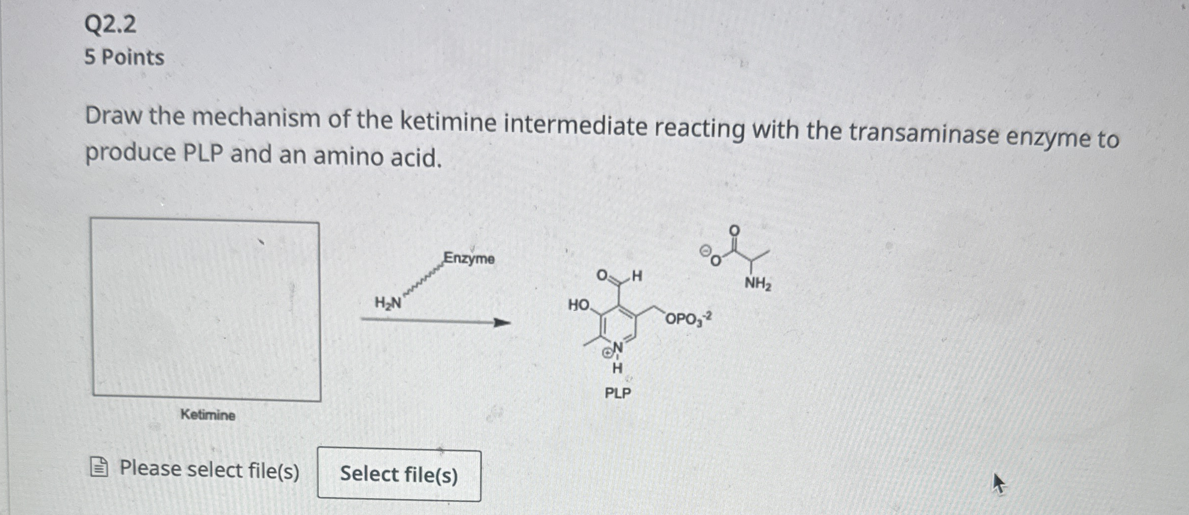 Solved Pyridoxamine phosphate (PMP) ﻿and pyridoxal phosphate | Chegg.com