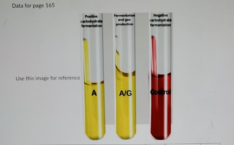 Solved Data for page 165 Positive carbohydrate fermentation | Chegg.com