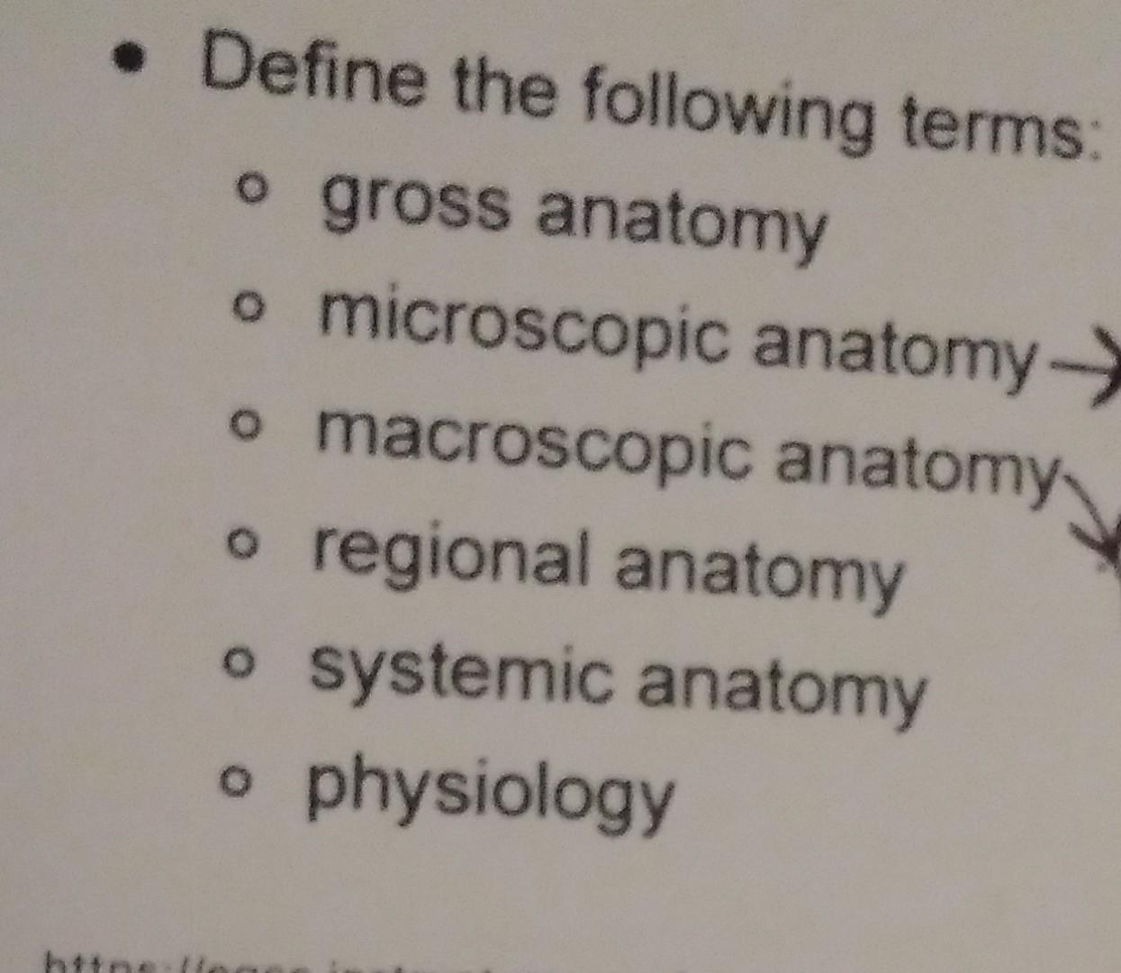 Solved Define the following terms: Gross anatomy Rgional | Chegg.com