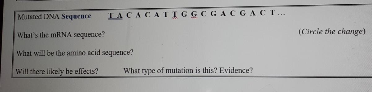 Mutated DNA Sequence TAC AC ATT GGC GAC GAC I... | Chegg.com