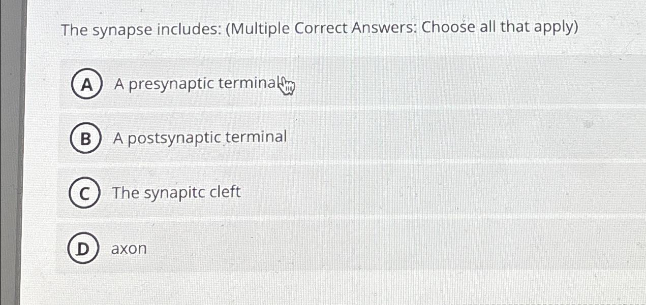 Solved The synapse includes: (Multiple Correct Answers: | Chegg.com