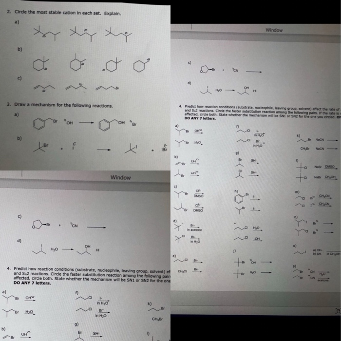 Solved 2. Circe the most stable cation in each set. Explain. | Chegg.com