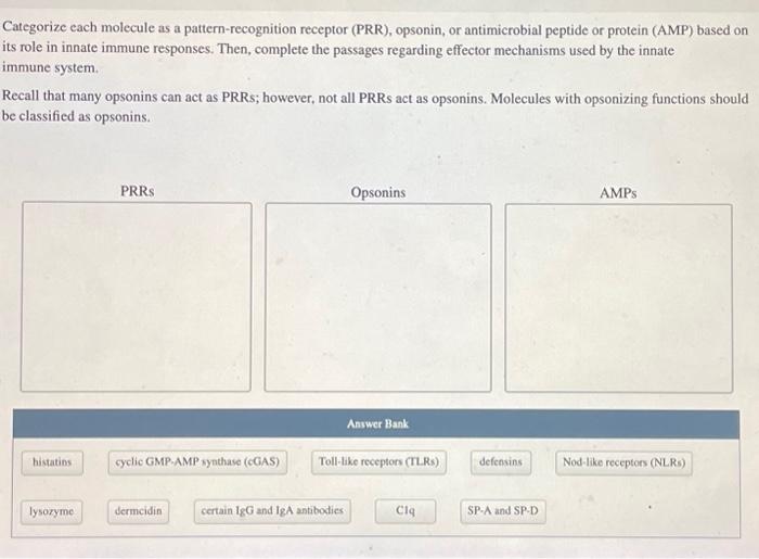 Solved Categorize each molecule as a pattern-recognition | Chegg.com