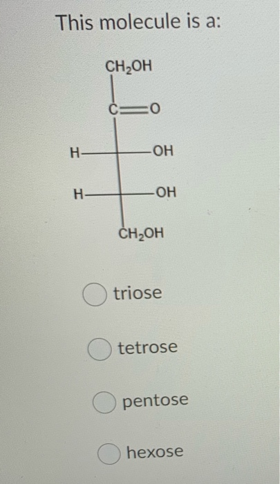 Solved This molecule is a: CH2OH CO H -ОН H- -OH CH2OH | Chegg.com