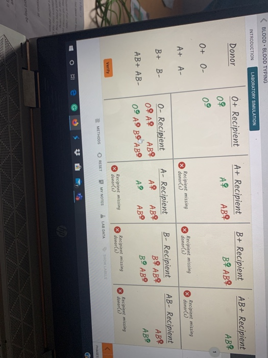 BLOOD-BLOOD TYPING INTRODUCTION LABORATORY SIMULATION | Chegg.com