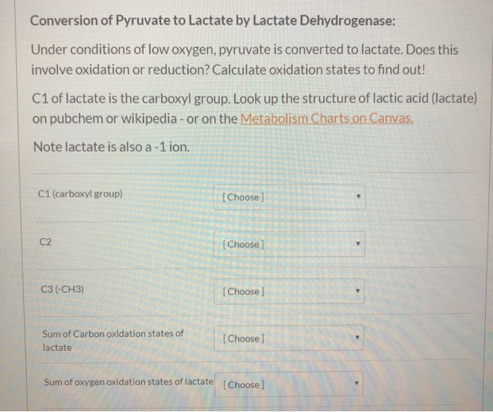 Solved Conversion of Pyruvate to Lactate by Lactate | Chegg.com