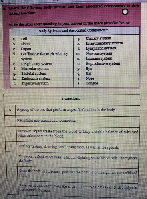 Solved 1 Match the following body systems and their | Chegg.com