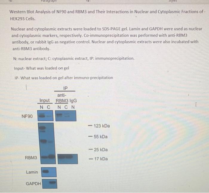 Western Blot Analysis of NF90 and RBM3 and Their | Chegg.com
