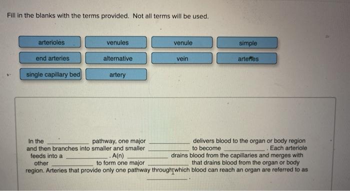 Solved Fill in the blanks with the terms provided. Not all | Chegg.com
