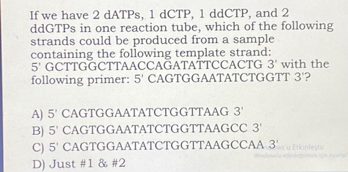 Solved If we have 2 dATPs, 1 dCTP, 1 ddCTP, and 2 ddGTPs in | Chegg.com
