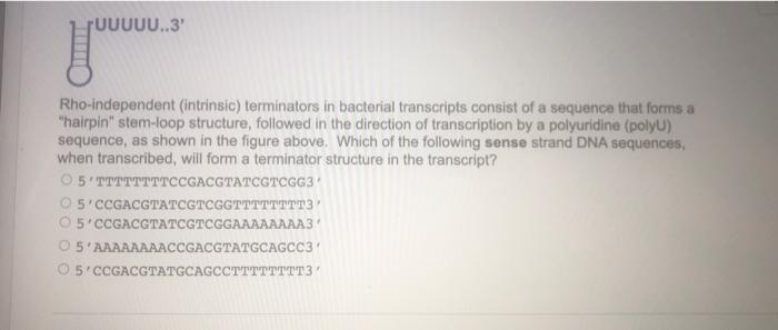 Solved Rho-independent (intrinsic) terminators in bacterial | Chegg.com