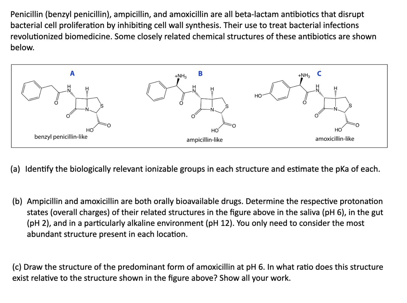 Solved Penicillin (benzyl penicillin), ﻿ampicillin, and | Chegg.com