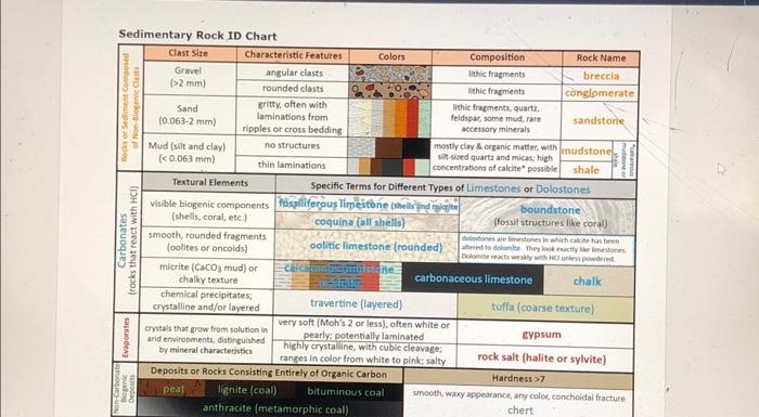 Solved Sedimentary Rock ID Chart Questions: What | Chegg.com