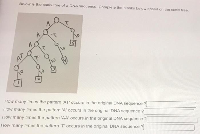 Solved Below is the suffix tree of a DNA sequence. Complete | Chegg.com
