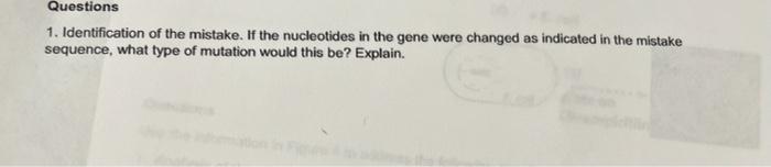 Solved 1 Identification Of The Mistake If The Chegg