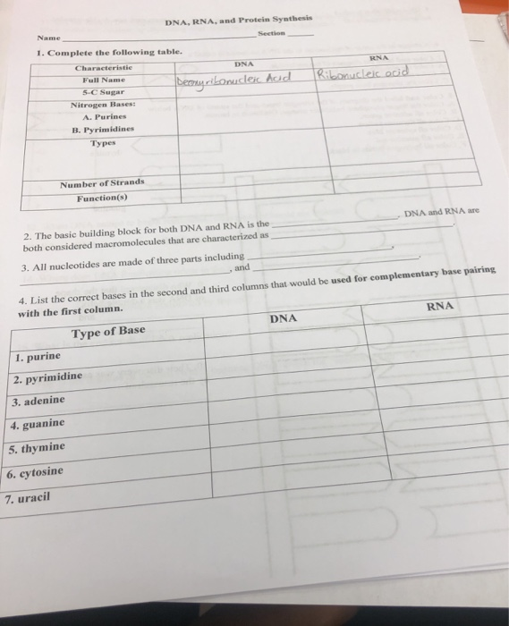 Solved DNA, RNA, and Protein Synthesis Section 1. Complete | Chegg.com