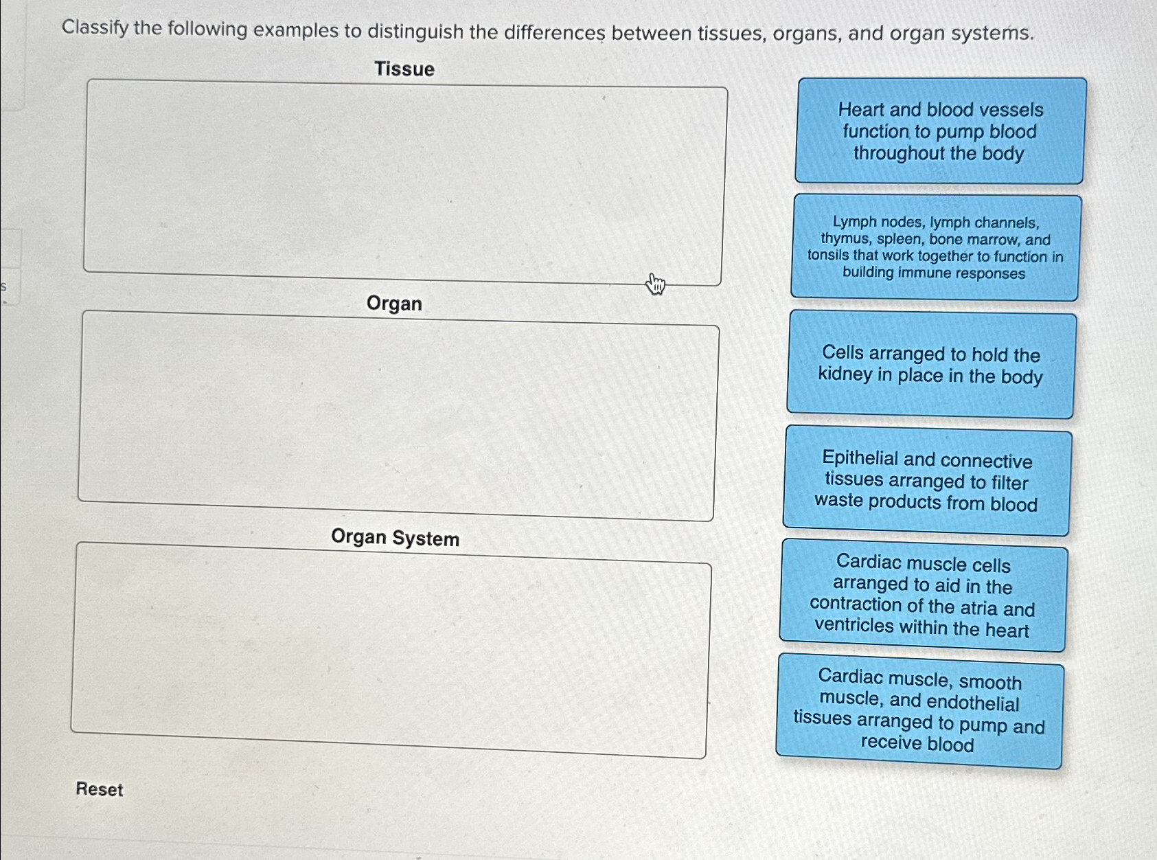Solved Classify the following examples to distinguish the | Chegg.com