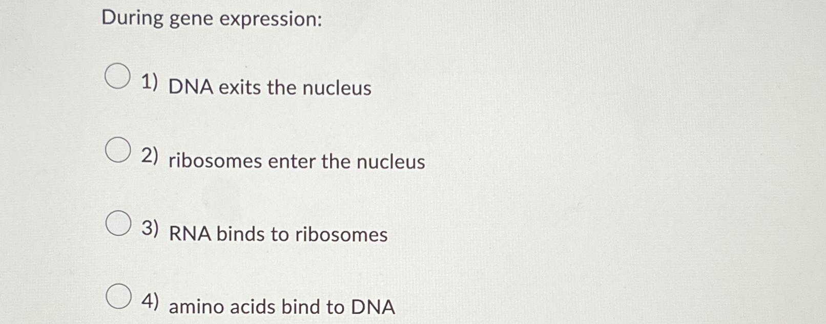 Solved During gene expression:DNA exits the nucleusribosomes | Chegg.com