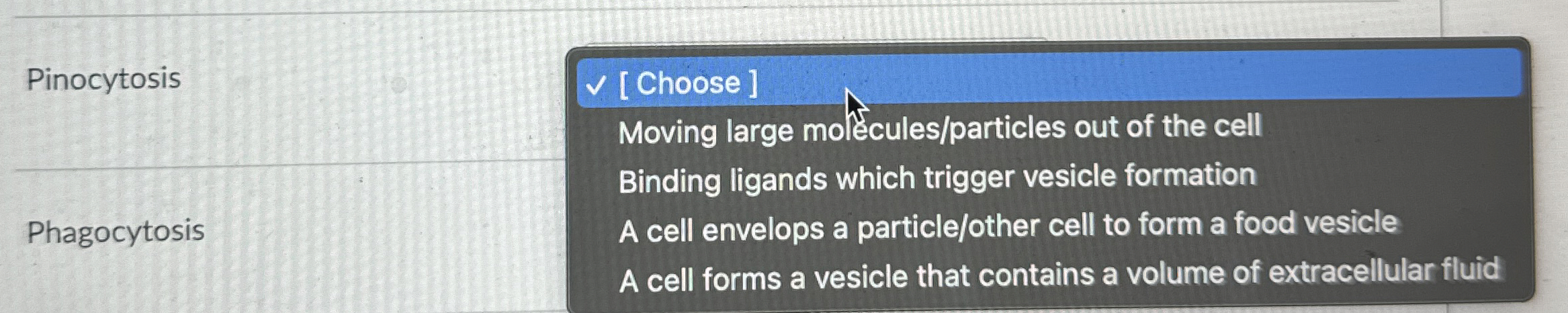 Solved PinocytosisPhagocytosis [Choose]Moving large | Chegg.com