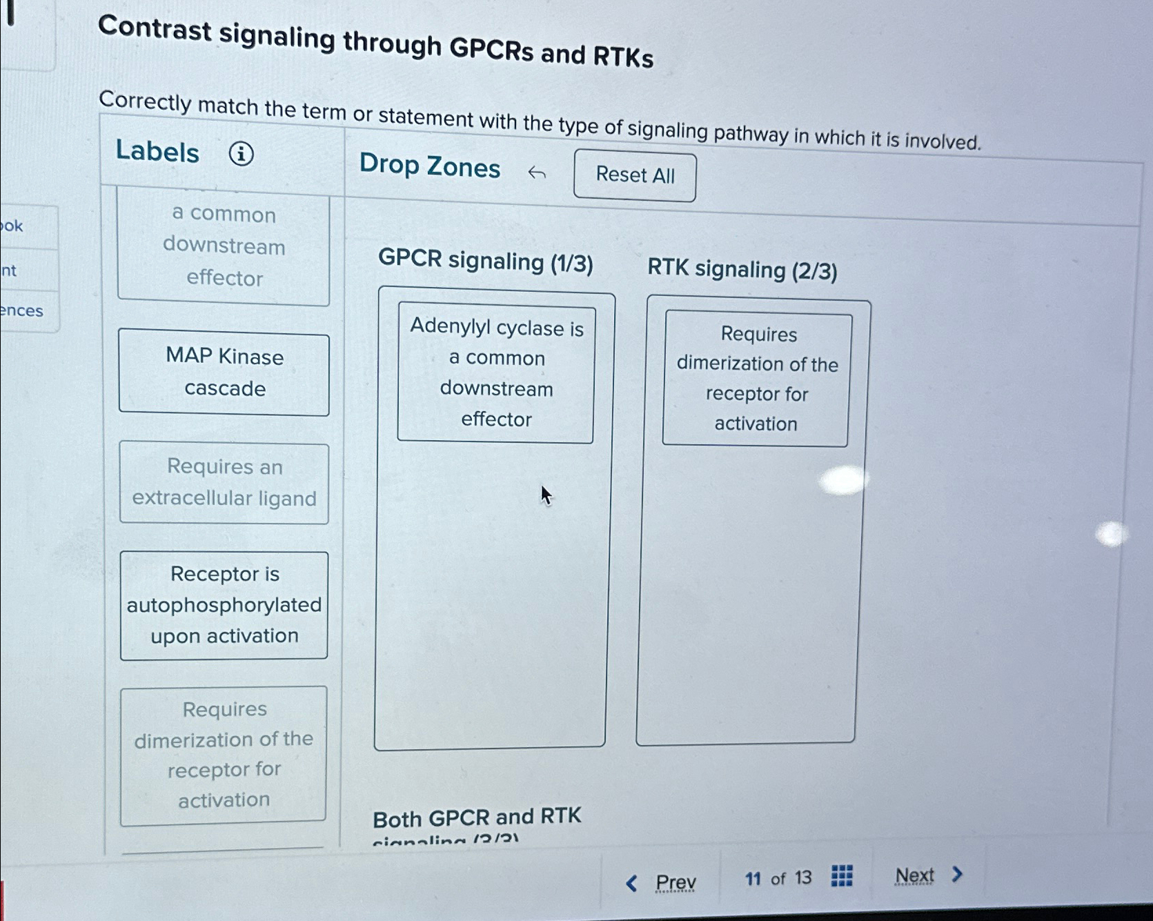 Solved Contrast signaling through GPCRs and RTKsCorrectly | Chegg.com