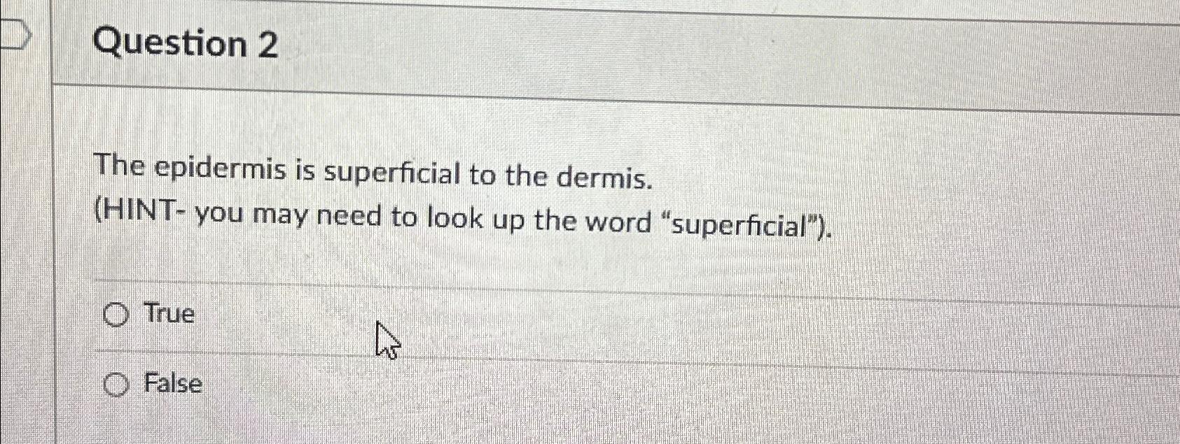 Solved Question 2The epidermis is superficial to the | Chegg.com