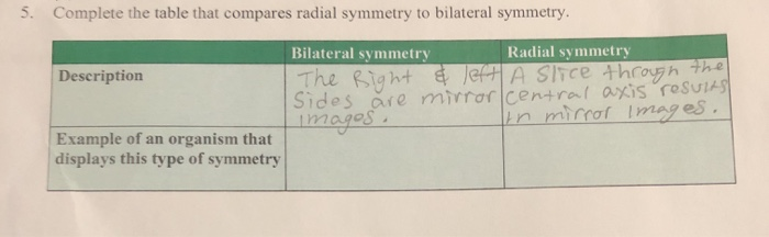 Solved 5. Complete the table that compares radial symmetry | Chegg.com