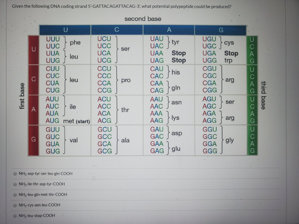 Solved Given the following DNA coding strand | Chegg.com