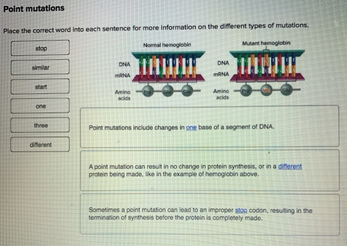 Solved Point mutations Place the correct word into each | Chegg.com
