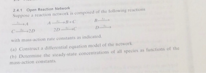 Solved 2.4.1 Open Reaction Network Suppose a reaction | Chegg.com