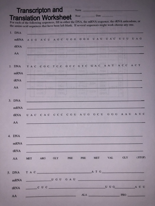 Solved Name Transcripton and Translation Worksheet Hour – | Chegg.com