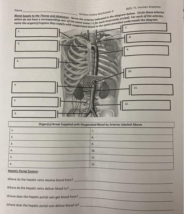 Solved Name BIOL 71: Human Anatomy Written Online Worksheet | Chegg.com