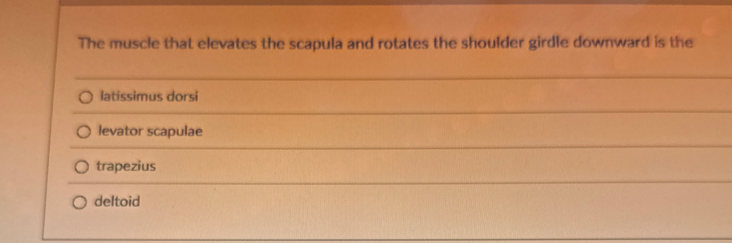 Solved The muscle that elevates the scapula and rotates the | Chegg.com