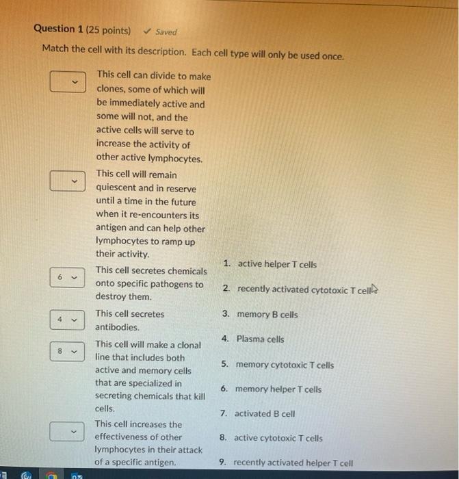 Solved Match the cell with its description. Each cell type | Chegg.com